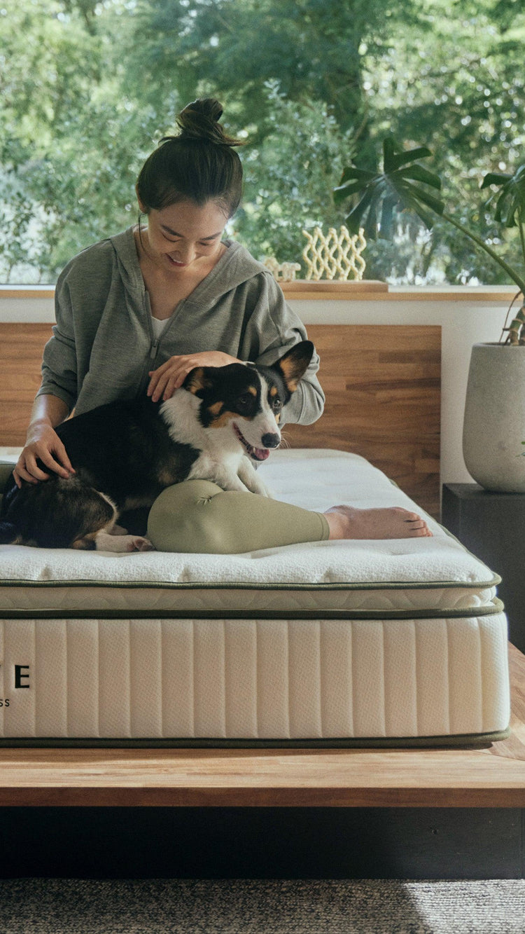 ÓLIVE 自然睡眠計劃 ｜NATURAL METTRESS